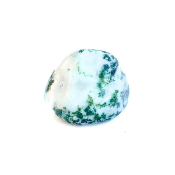Agate arbre : Quelles sont ses Vertus en Lithothérapie ? ᑕ ᑐ
