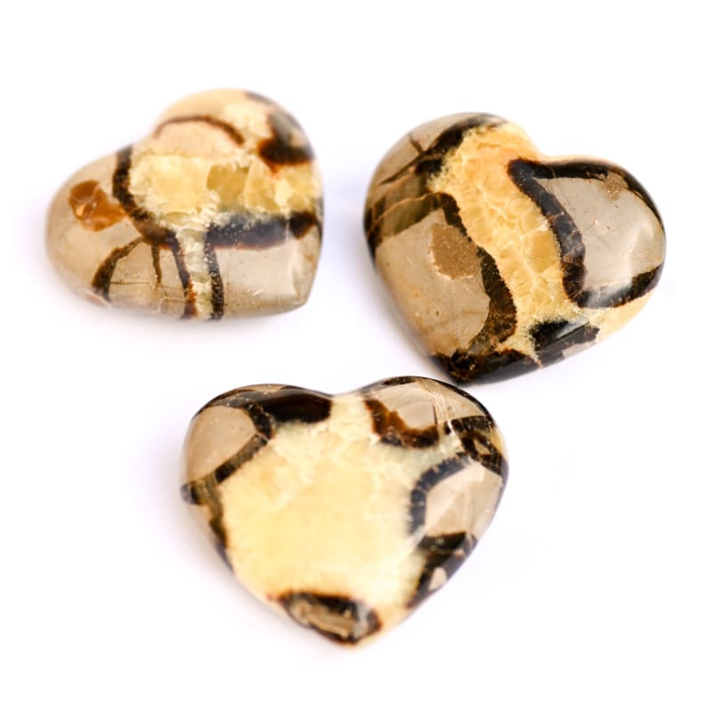 Septaria | Les plus belles Septarias de France et de Madagascar