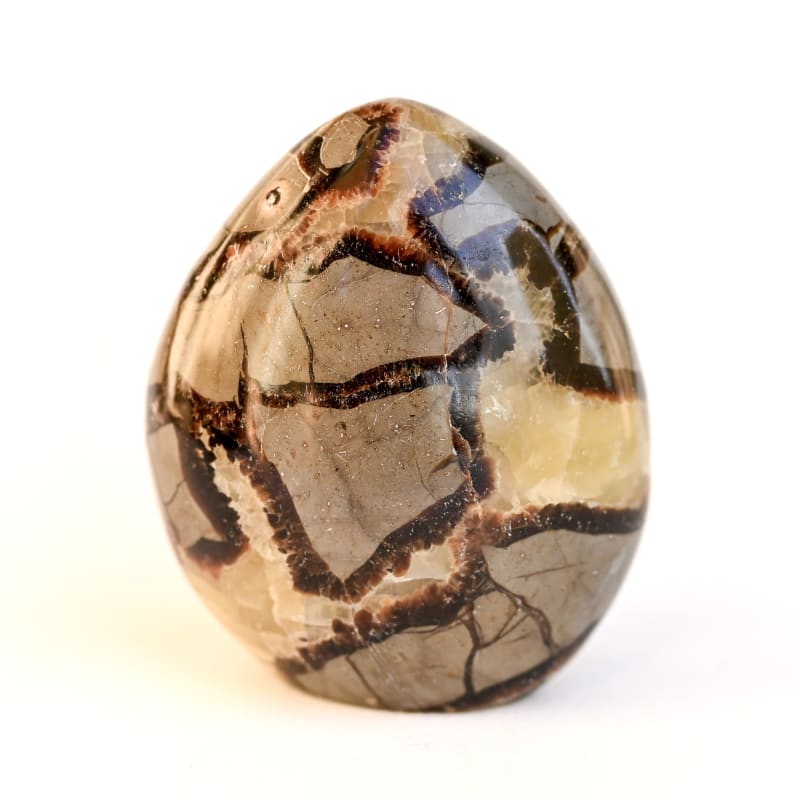 Septaria | Les plus belles Septarias de France et de Madagascar